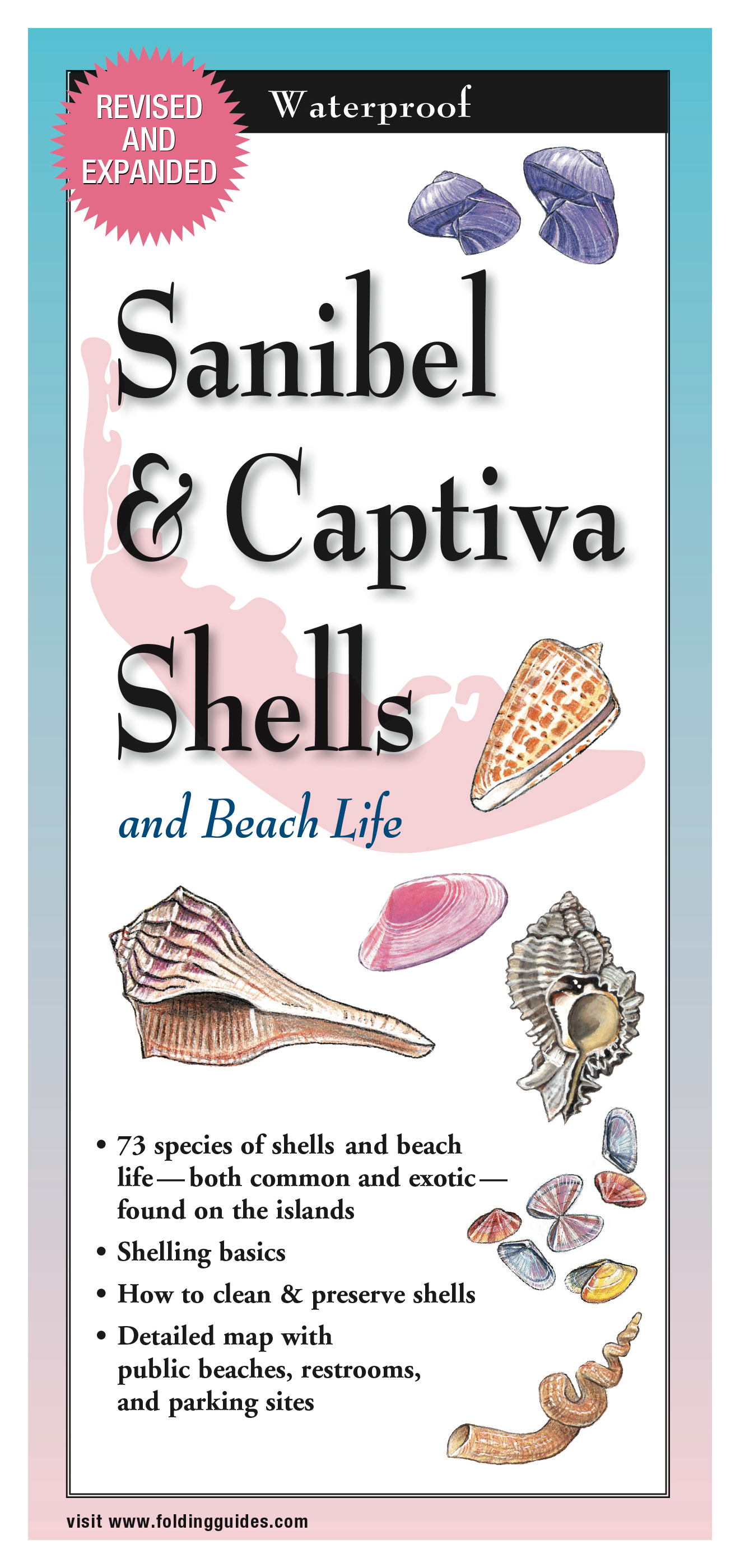 Sanibel & Captiva Shells and Beach Life Laminated Folding Guide | Bass ...
